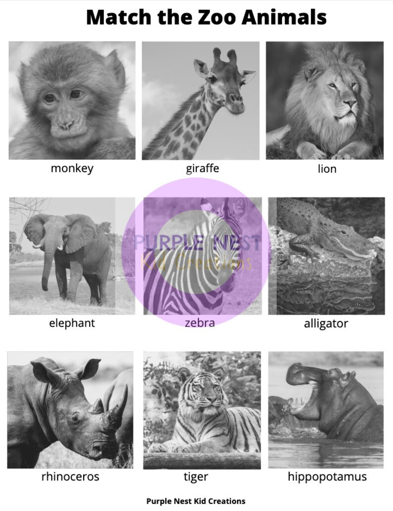 Match the Zoo Animals Activity Animal Matching Game | Etsy