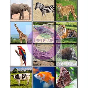 Match the Animal Prints Worksheet, Animal Matching Game, Educational ...