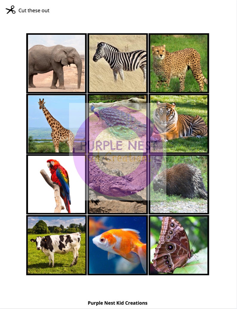 Match the Animal Prints Worksheet Animal Matching Game - Etsy