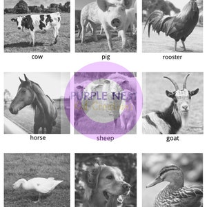 Match the Farm Animals Worksheet, Animal Matching Game, Educational ...