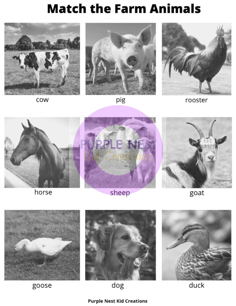 Farm Animals Matching Game: Preschool Printable Activity (PDF) - Etsy