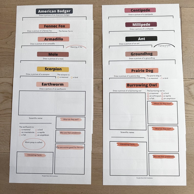 Soil & Burrowing Animals Unit Study: Educational Printables (PDF) - Etsy