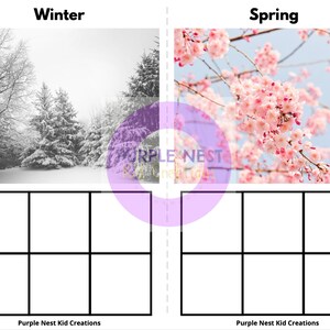 Seasons Sorting Activity: Preschool Printable (digital Download) - Etsy