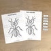 Ant Mini Unit Study: Life Cycle & Ant Hill (20-page Digital Download ...