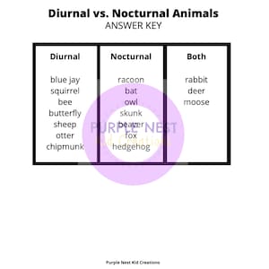 Diurnal Vs. Nocturnal Animal Sort Worksheet, Animal Sorting Game, Venn ...
