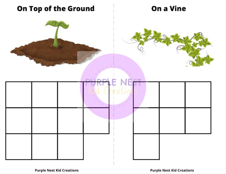 Fruits & Vegetables Sorting Mats: Educational Game (digital Download ...