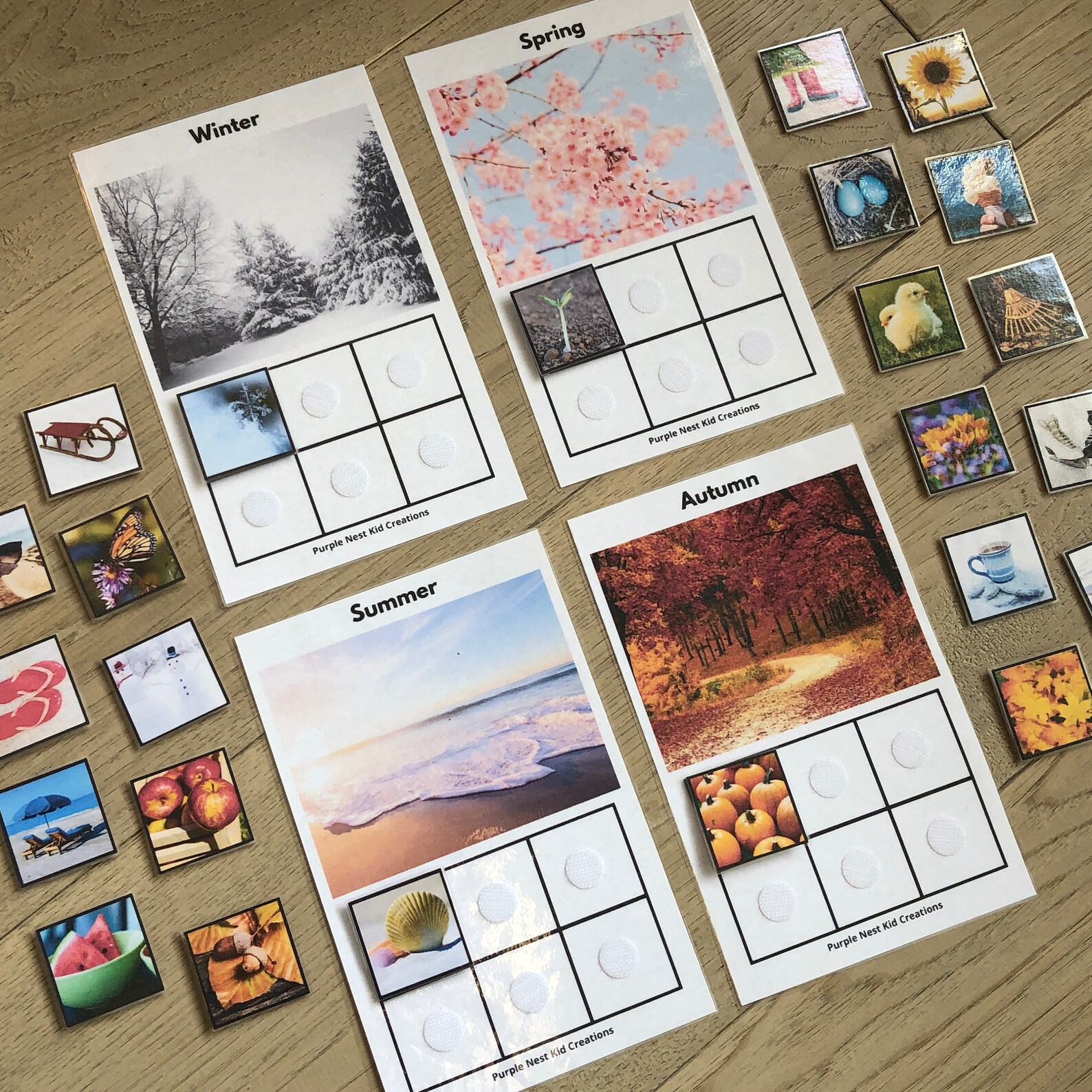 Seasons Sorting Activity: Preschool Printable (digital Download) - Etsy