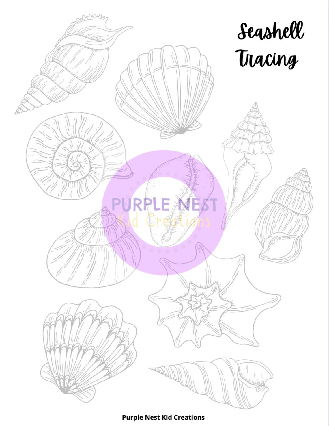 Seashell Tracing and Colouring Tracing Shells Coloring - Etsy