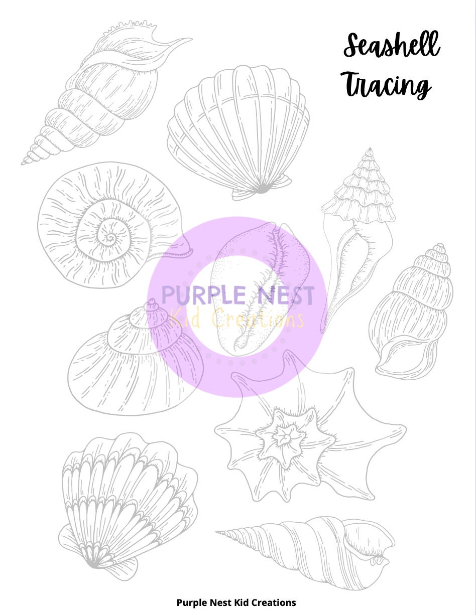 Seashell Tracing and Colouring Tracing Shells Coloring - Etsy