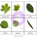 Leaves Flash Cards, Fall, Autumn, Montessori, Nomenclature, Three Part ...