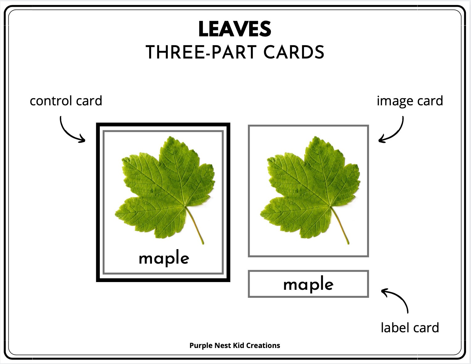 Leaves Flash Cards Fall Autumn Montessori Nomenclature - Etsy