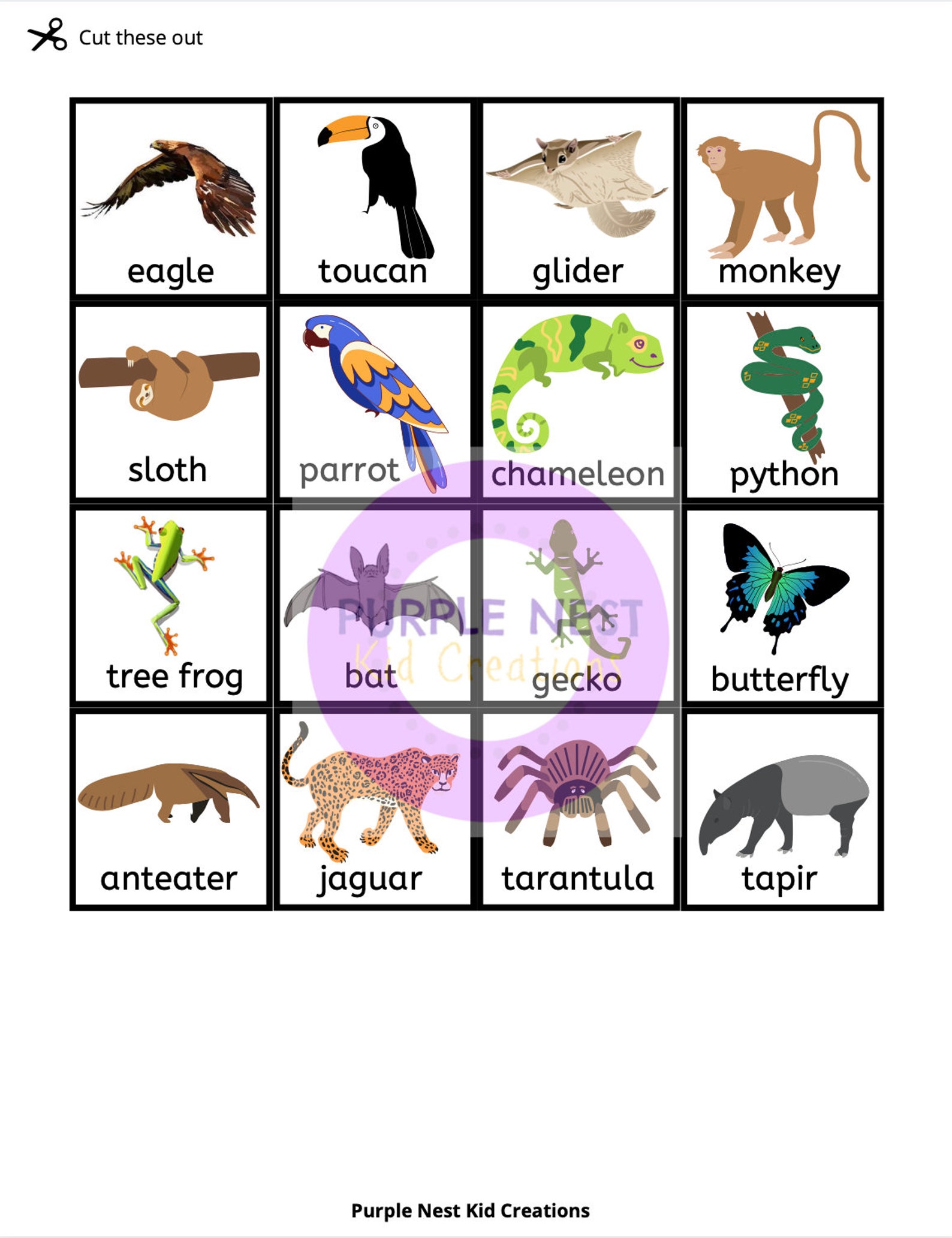 Animals of the Rainforest Worksheet Rainforest Habitat - Etsy