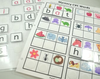 Phonics Worksheets CVC Short Vowels Read, Write & Color for ...