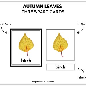 Autumn Leaves Flash Cards, Autumn, Fall Leaves, Montessori ...