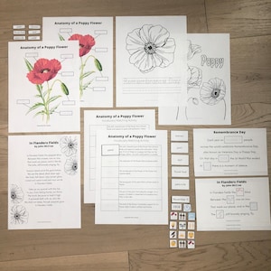 Remembrance Day Bundle, Remembrance Day Unit Study, Veterans Day, Poppy ...