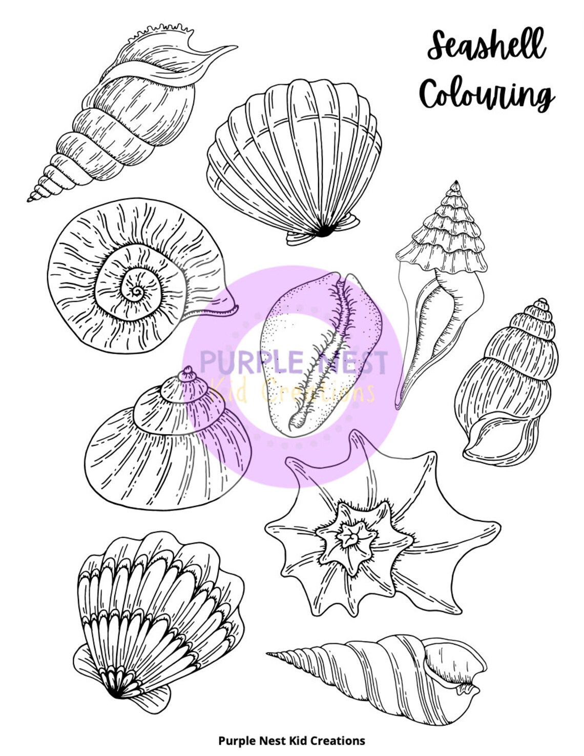 Seashell Tracing and Colouring Tracing Shells Coloring | Etsy
