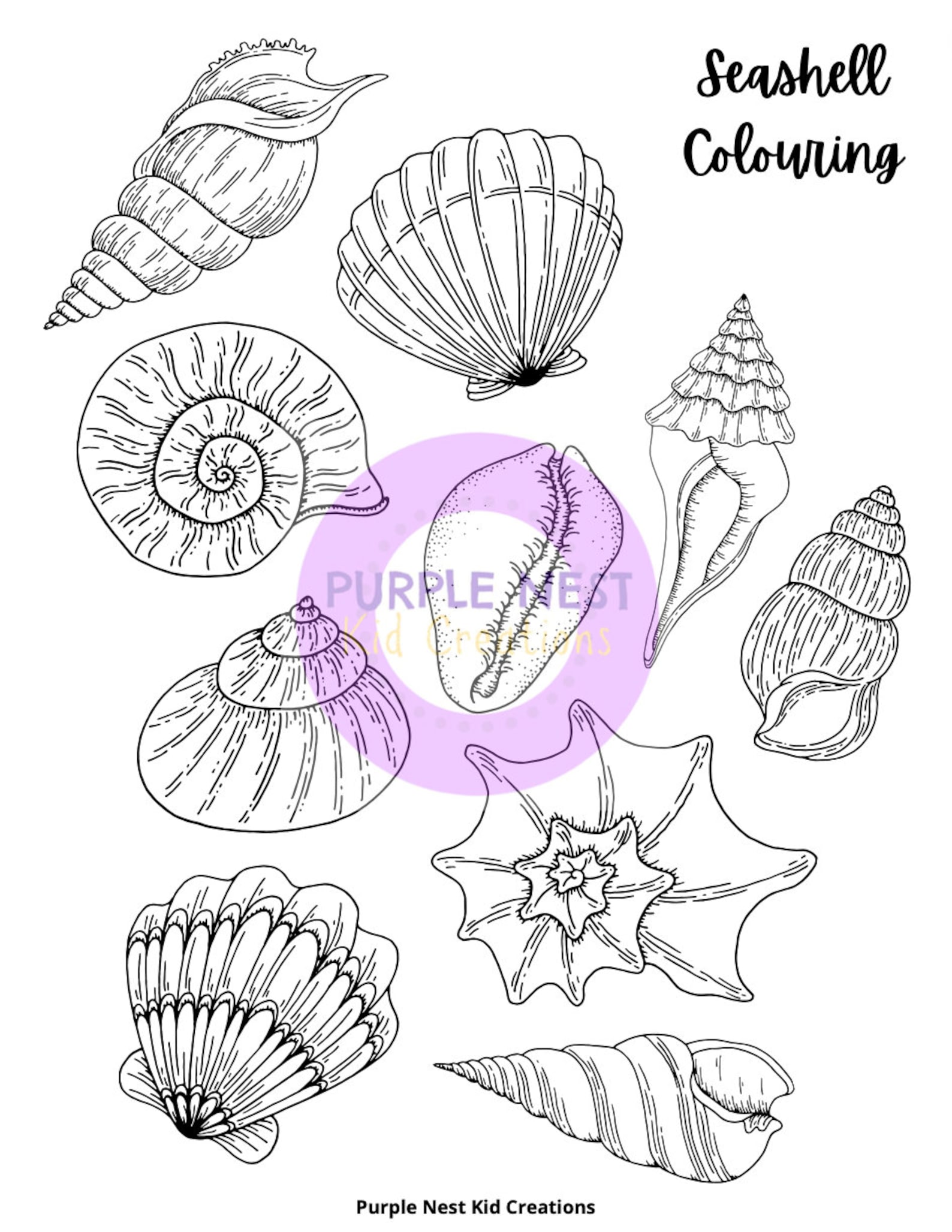 Seashell Tracing and Colouring Tracing Shells Coloring | Etsy