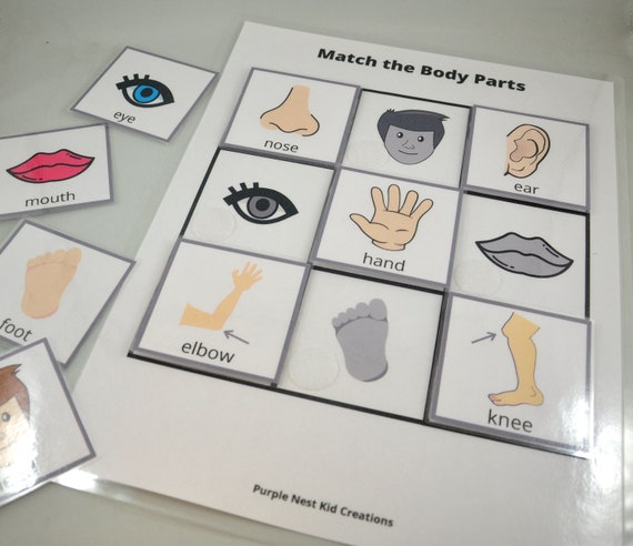 Match the Body Parts Worksheet Matching Game Educational | Etsy