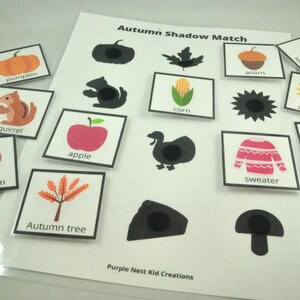 Autumn Shadow Match Worksheet, Fall Matching Game, Seasonal Activity ...