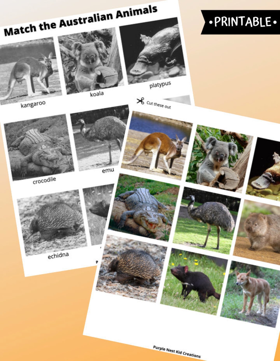 Australian Animals Matching Worksheet, Busy Book Page, Educational ...