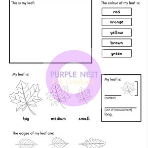 Leaf Observation Worksheets & Fact Cards: Autumn Nature Study (PDF) - Etsy