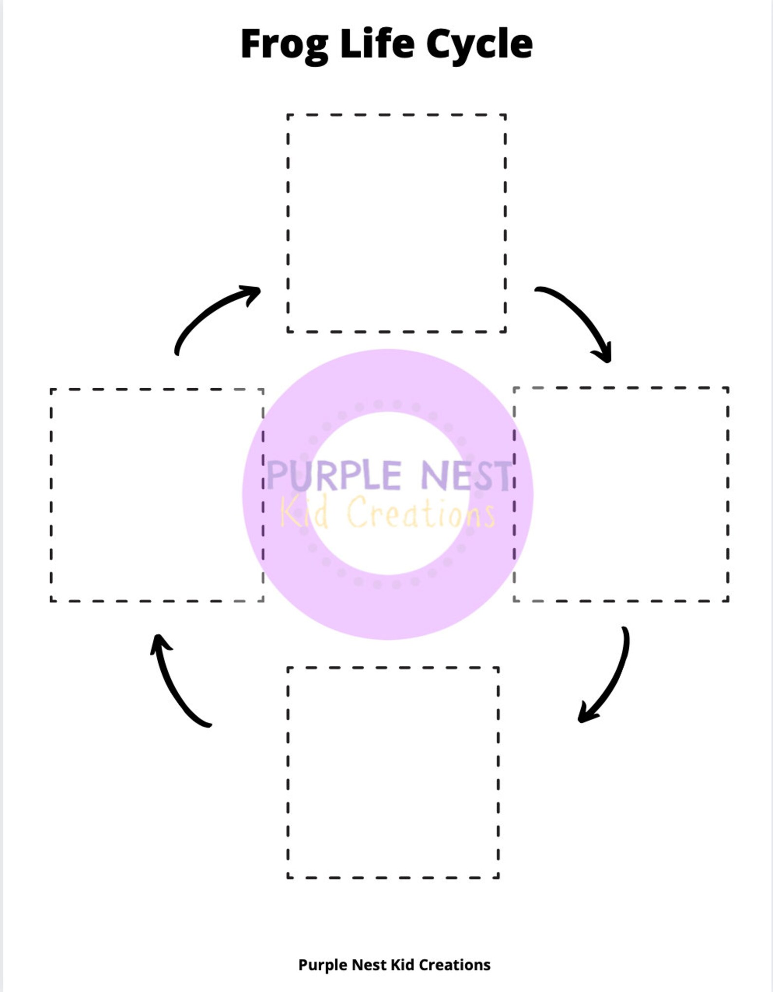 Frog Life Cycle Worksheet and Flash Cards Frog Life Cycle - Etsy