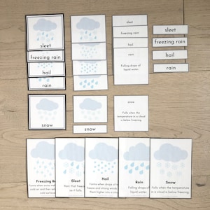 Life Cycle of a Snowflake Worksheet, Types of Precipitation, Winter ...