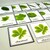 Gardening Flash Cards, Montessori, Nomenclature, Three Part Cards ...
