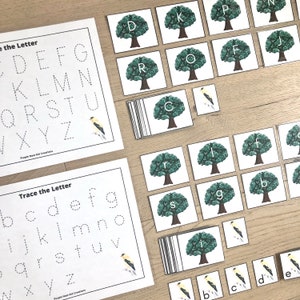 Spring Letter Recognition Activities, Matching Game, Alphabet, Birds ...