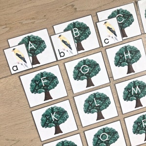 Spring Letter Recognition Activities, Matching Game, Alphabet, Birds ...