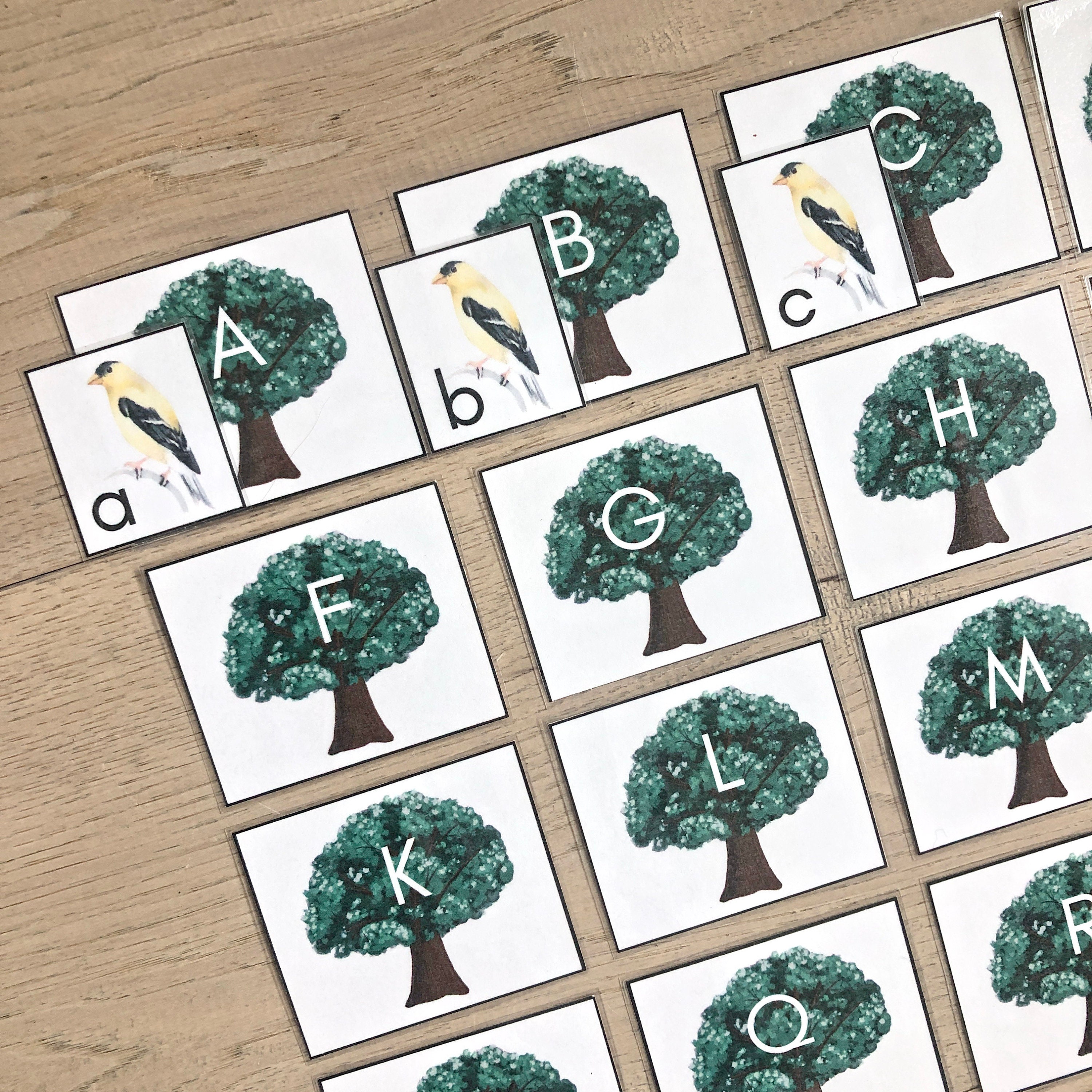 Spring Alphabet Matching Game: Letter Recognition Printable (digital ...