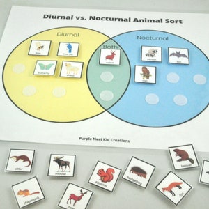 Diurnal Vs. Nocturnal Animal Sort Worksheet, Animal Sorting Game, Venn ...