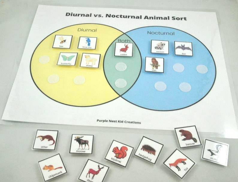 Diurnal Vs. Nocturnal Animal Sort Worksheet Animal Sorting - Etsy