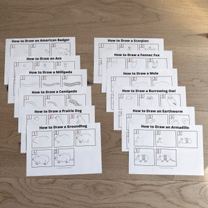 Soil & Burrowing Animals Unit Study: Educational Printables (PDF) - Etsy
