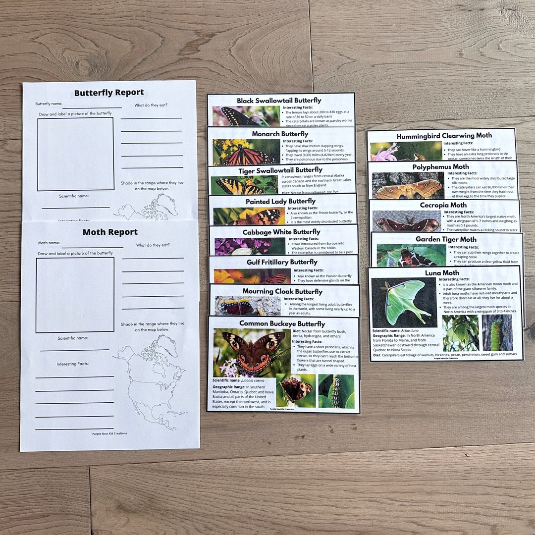 Butterflies and Moths Worksheets, Digital Download, Fact Cards ...