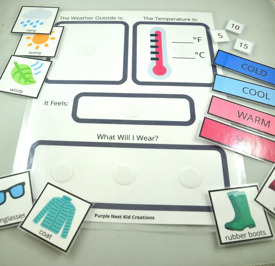 Weather Activity Sheet, Morning Binder Activity, Temperature, Digital ...