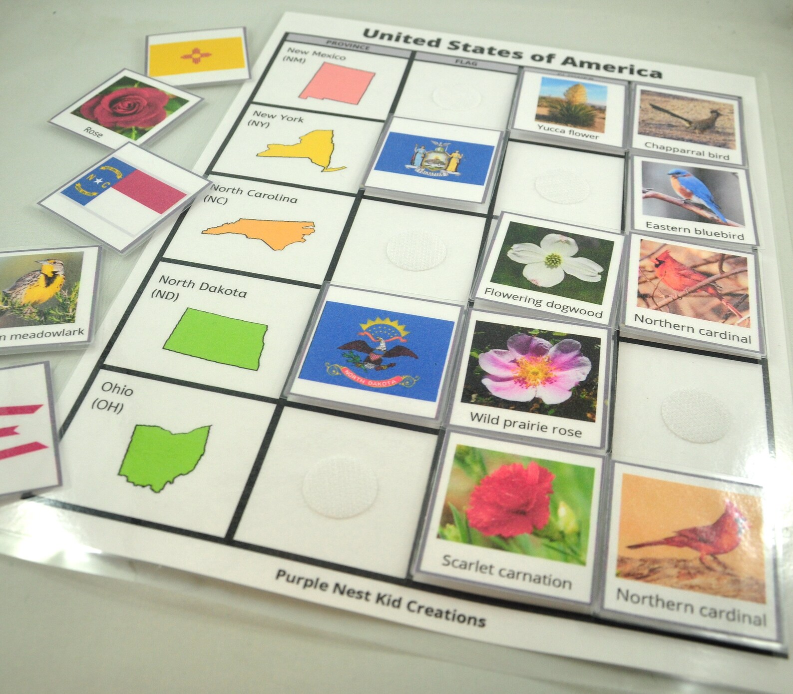 United States of America Bundle USA Map Geography States - Etsy