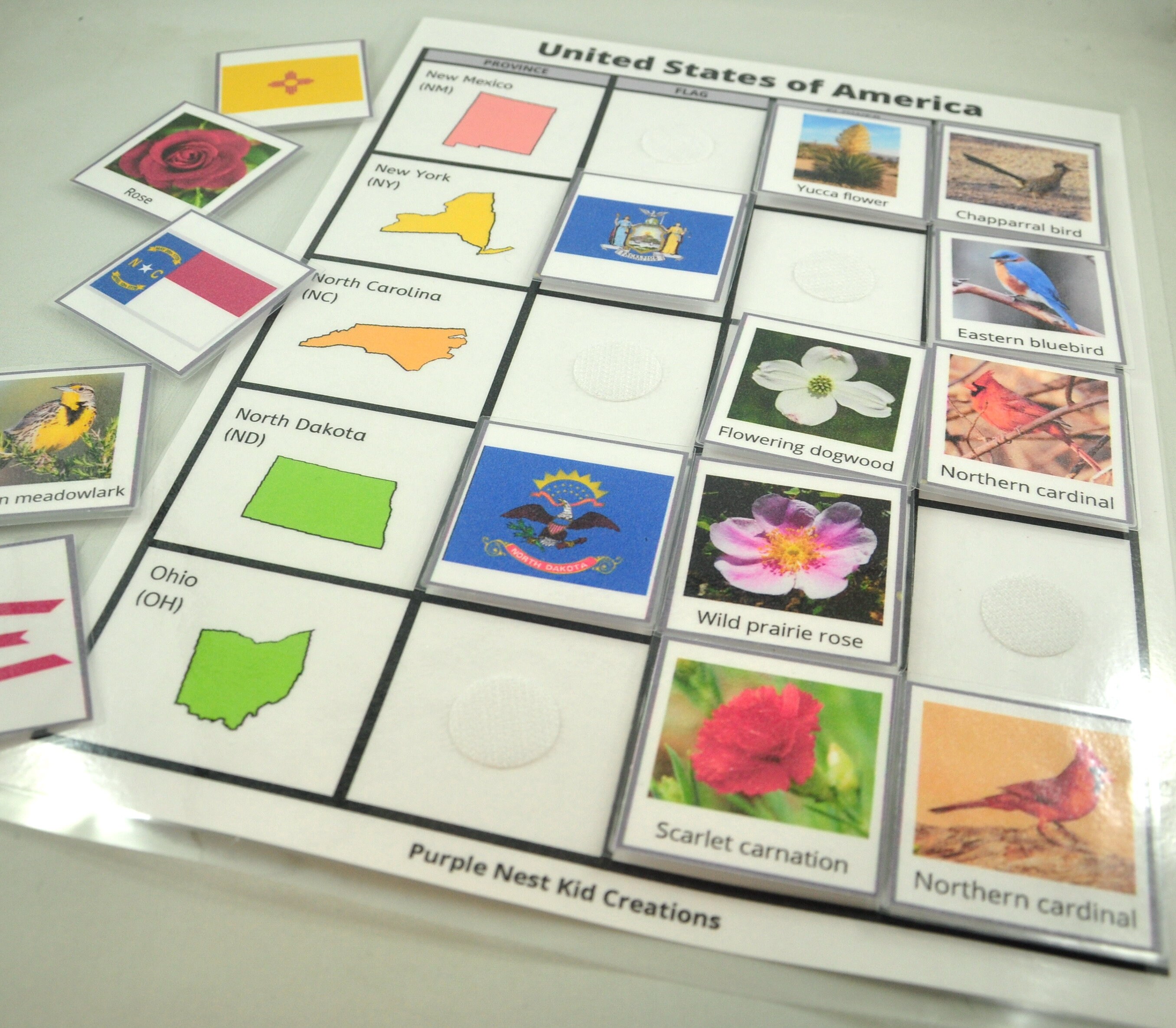 United States of America Bundle USA Map Geography States - Etsy