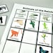 Animals of the Rainforest Worksheet Rainforest Habitat - Etsy