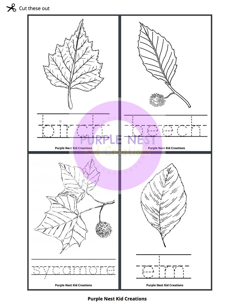 Leaves Colouring and Tracing Cards Fall Autumn Flash Cards - Etsy