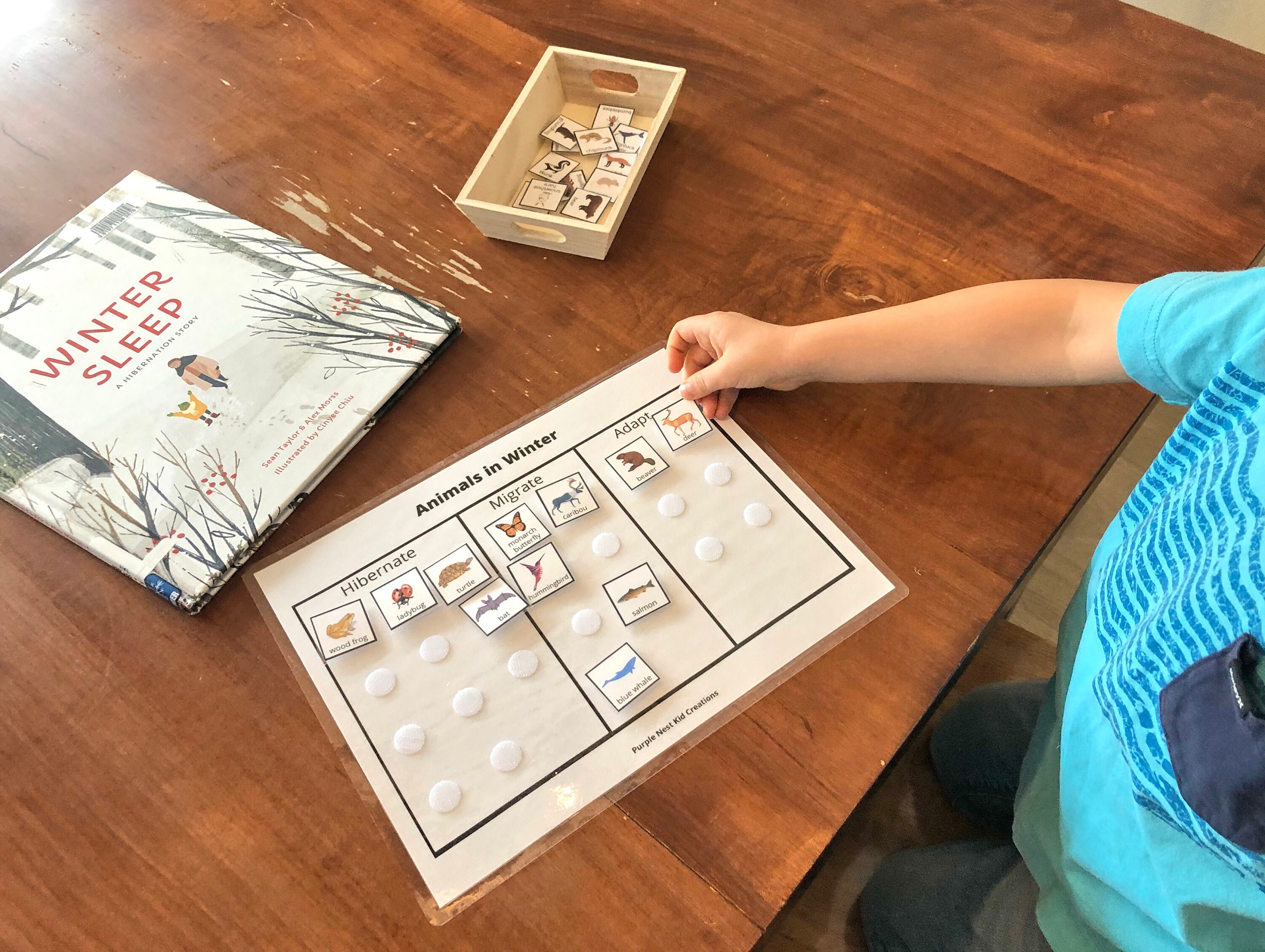 Animals in Winter Sorting Worksheet Hibernate Migrate Adapt | Etsy