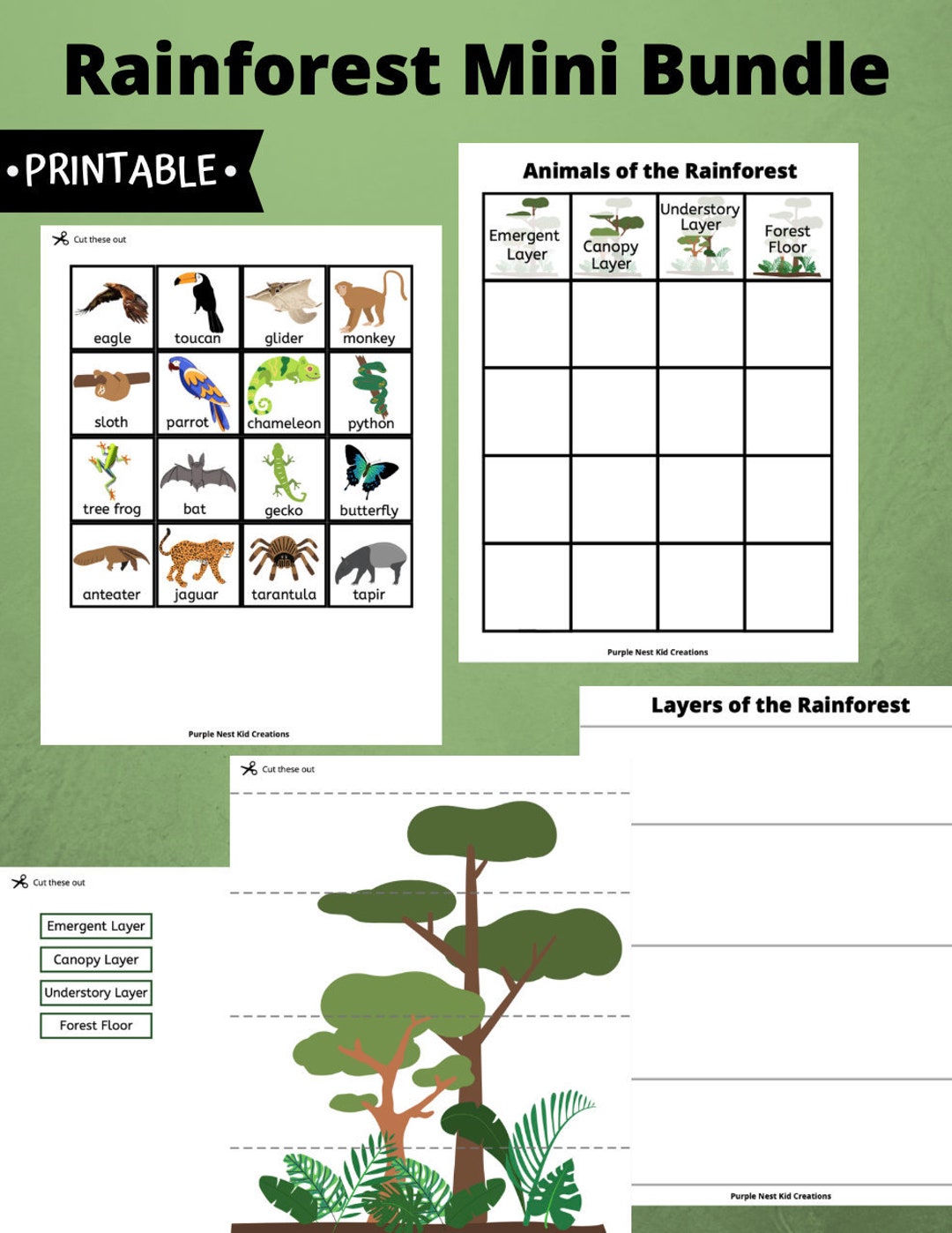 Rainforest Habitat Mini Bundle, Animals of the Rainforest, Layers of ...
