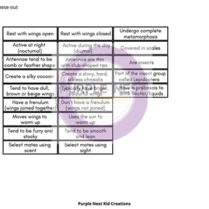 Butterflies and Moths Sorting Worksheet, Sorting Game, Venn Diagram ...