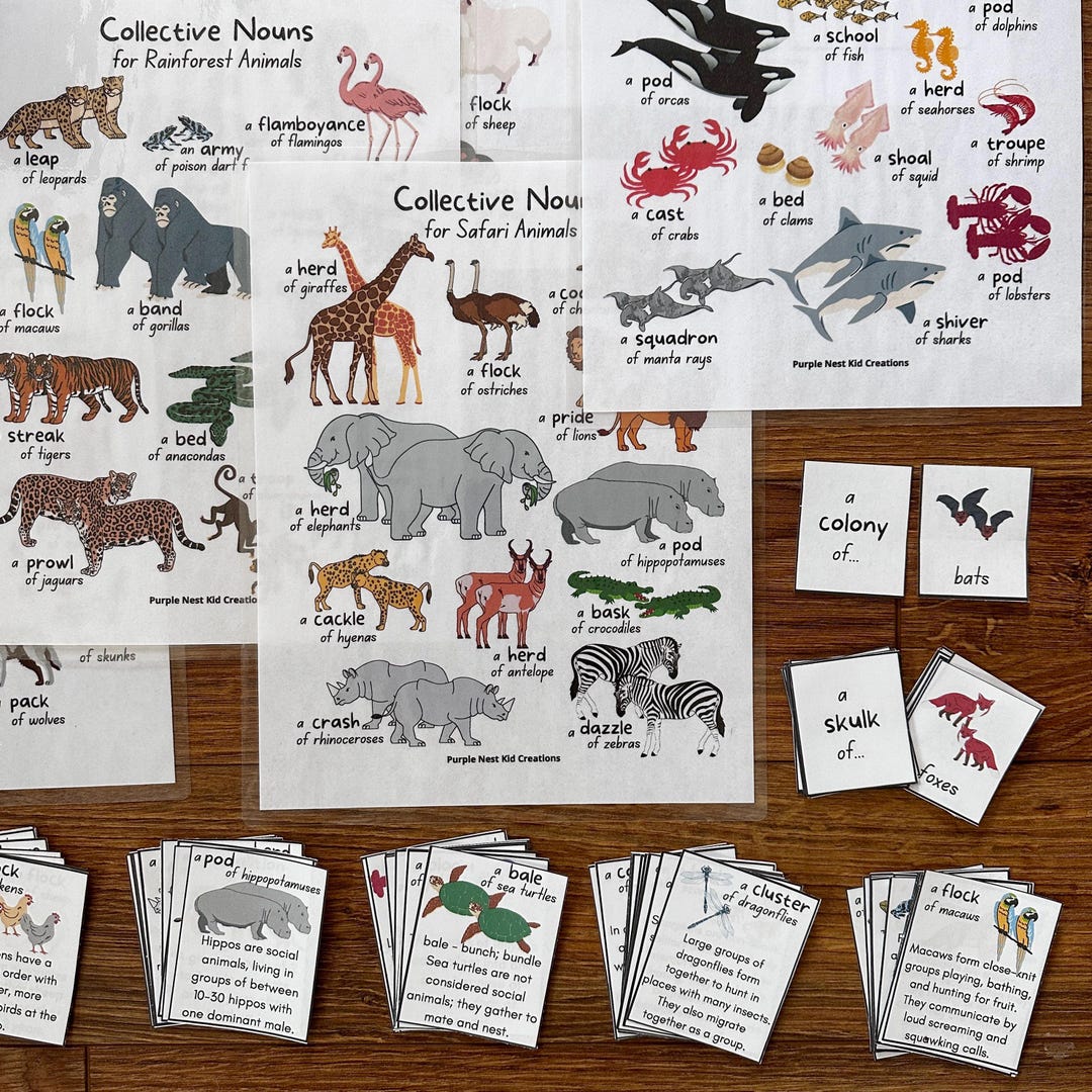 Collective Nouns for Animals Bundle, Nouns, Posters, Matching Activity ...