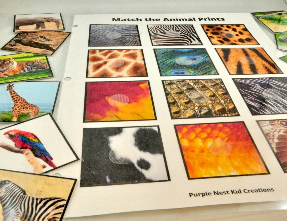 Match the Animal Prints Worksheet Animal Matching Game - Etsy