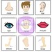 Body Parts Matching Game: Preschool Printable Activity (PDF) - Etsy
