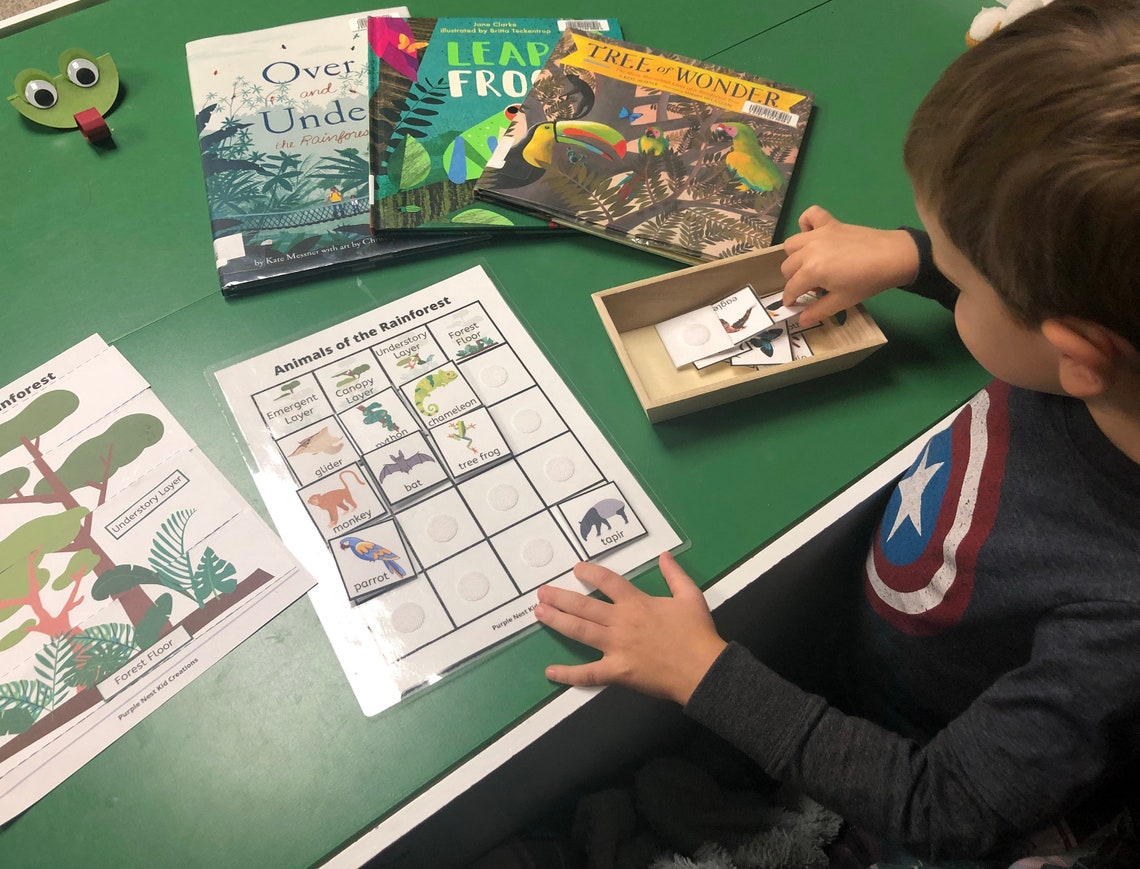 Animals of the Rainforest Worksheet Rainforest Habitat - Etsy