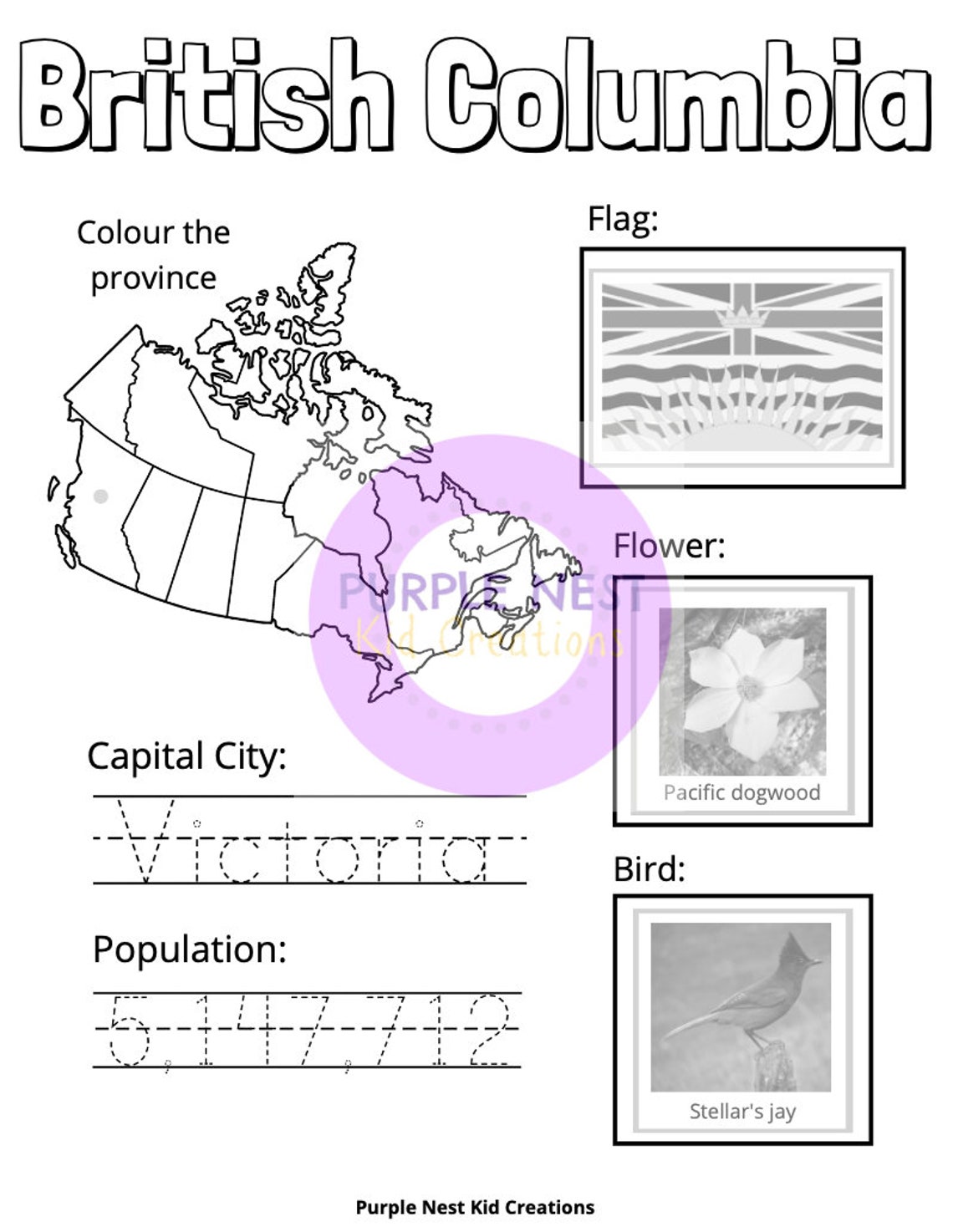 Canadian Fact Worksheets Flash Cards Provinces Territories - Etsy