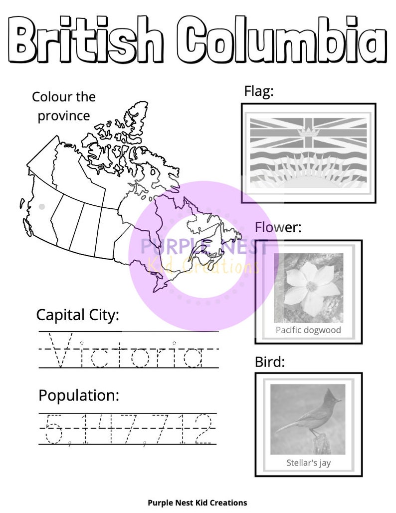 Canadian Fact Worksheets Flash Cards Provinces Territories - Etsy