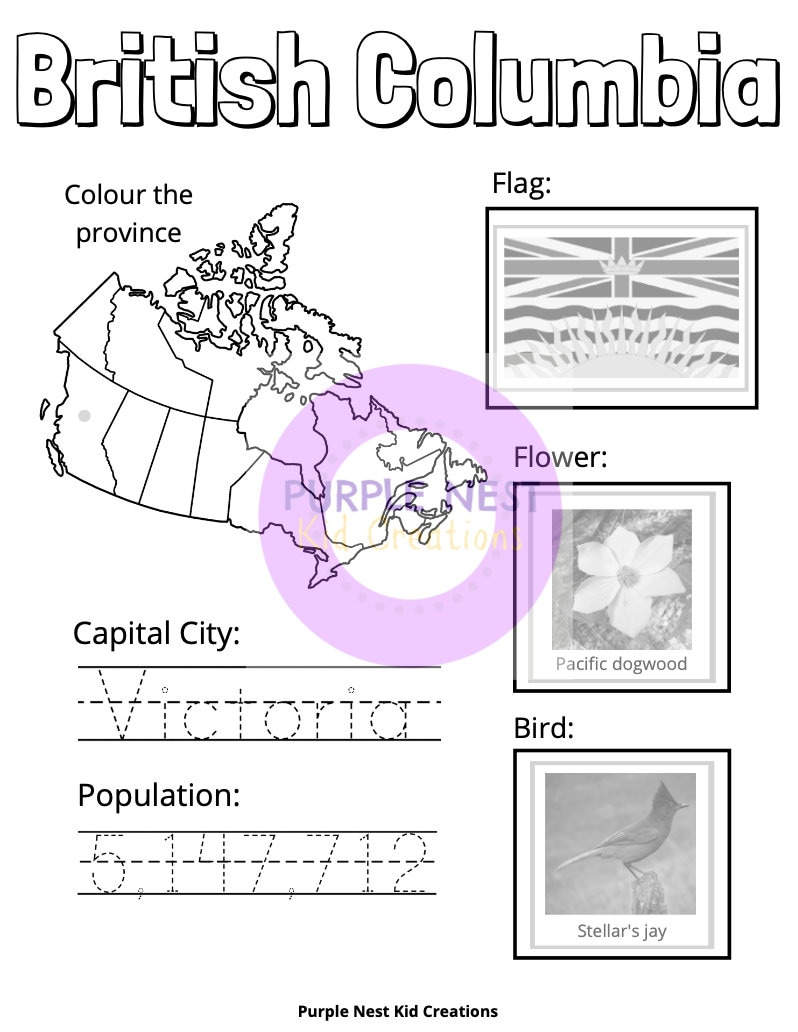 Canadian Fact Worksheets, Flash Cards, Provinces, Territories, Matching ...